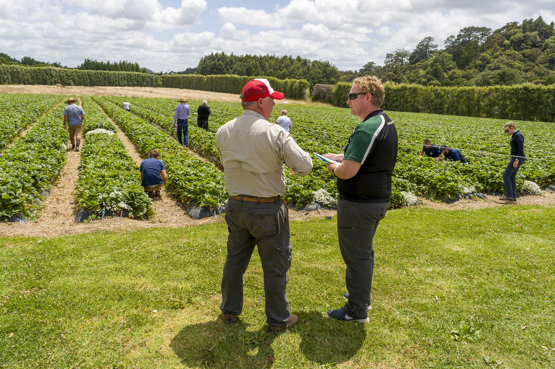 Meet the Growers | Vegetables.co.nz