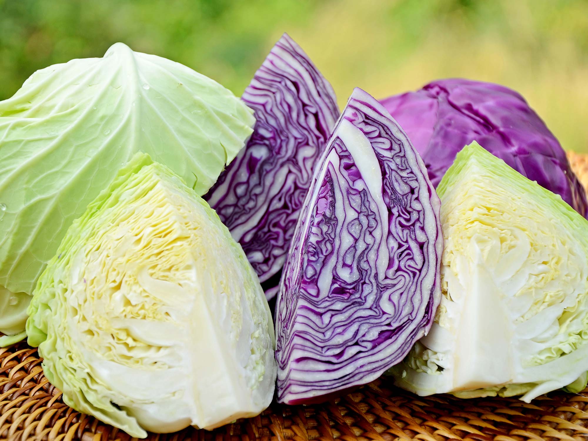 Cabbages - Kāpeti | Vegetables.co.nz