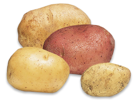 Potatoes - Rīwai | Vegetables.co.nz