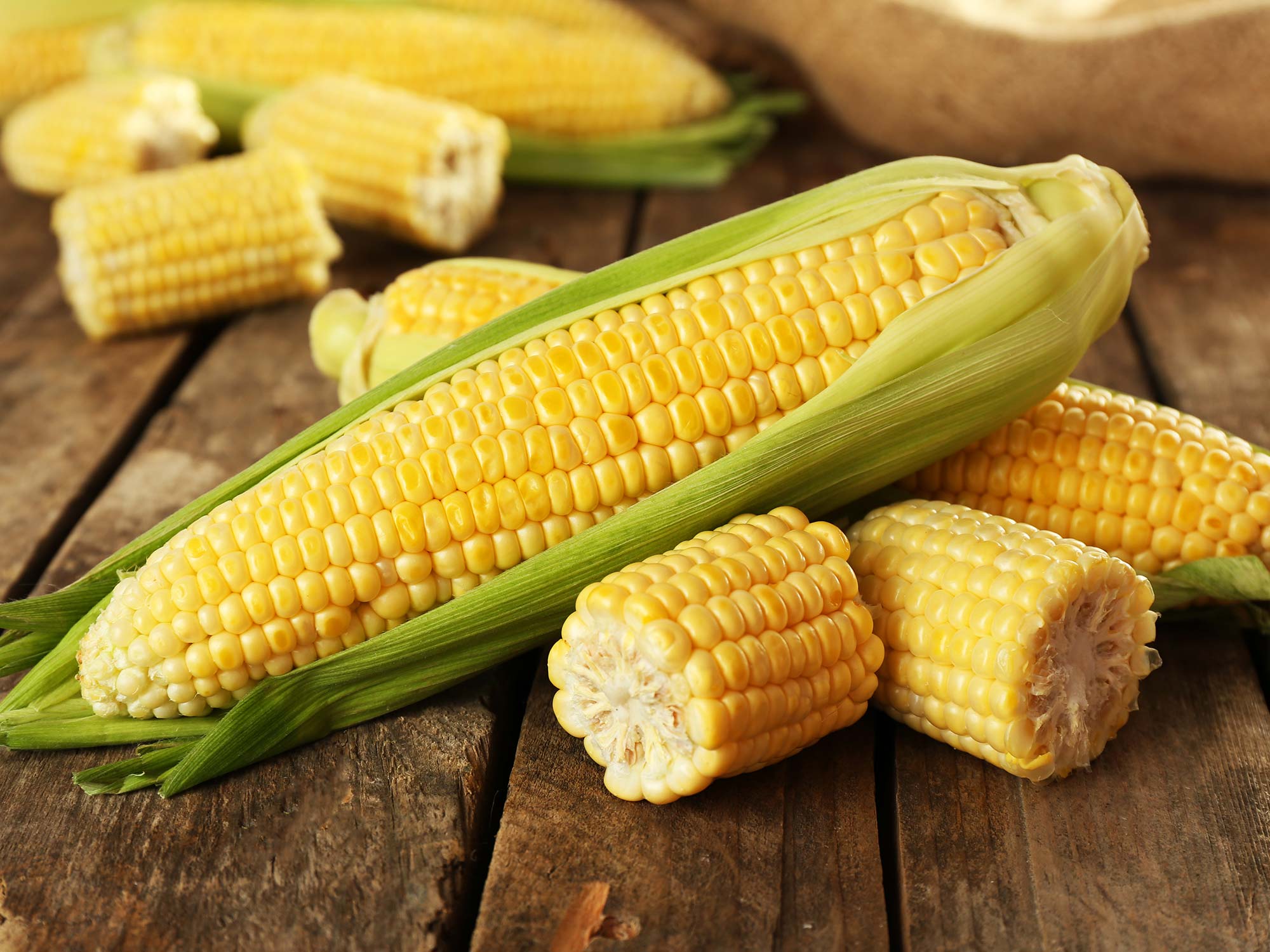 Sweet corn - Kānga | Vegetables.co.nz