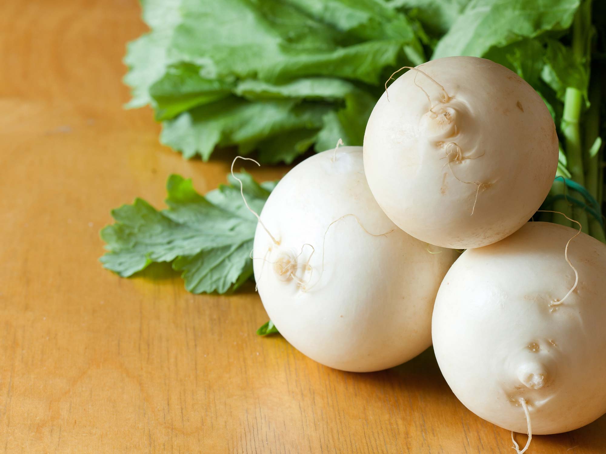 Turnips - Kotami | Vegetables.co.nz